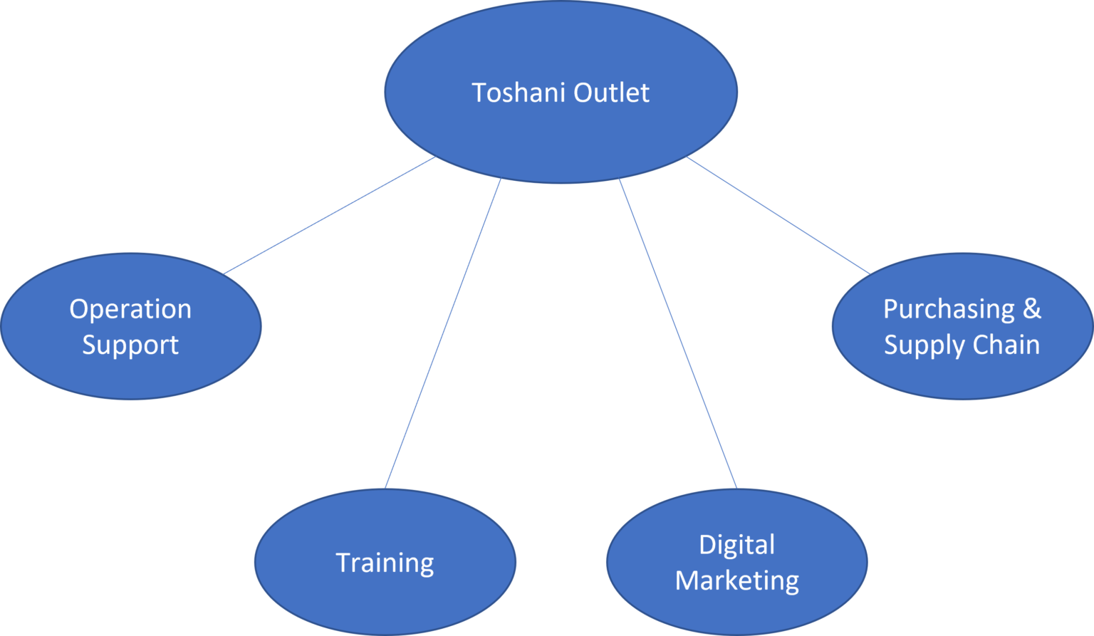 Channel Partner Support – Toshani Digital